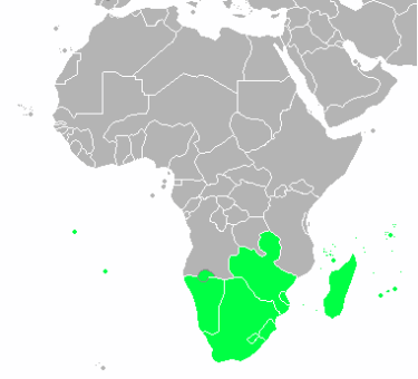 African regions - IBWiki